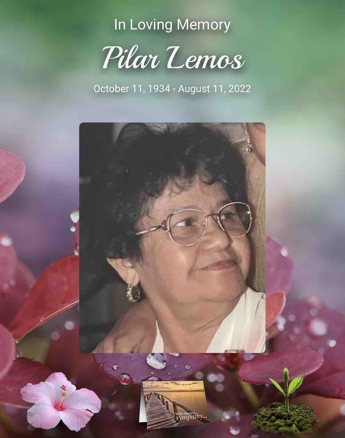 Fundraiser by Elizabeth Monzon : Funeral expenses