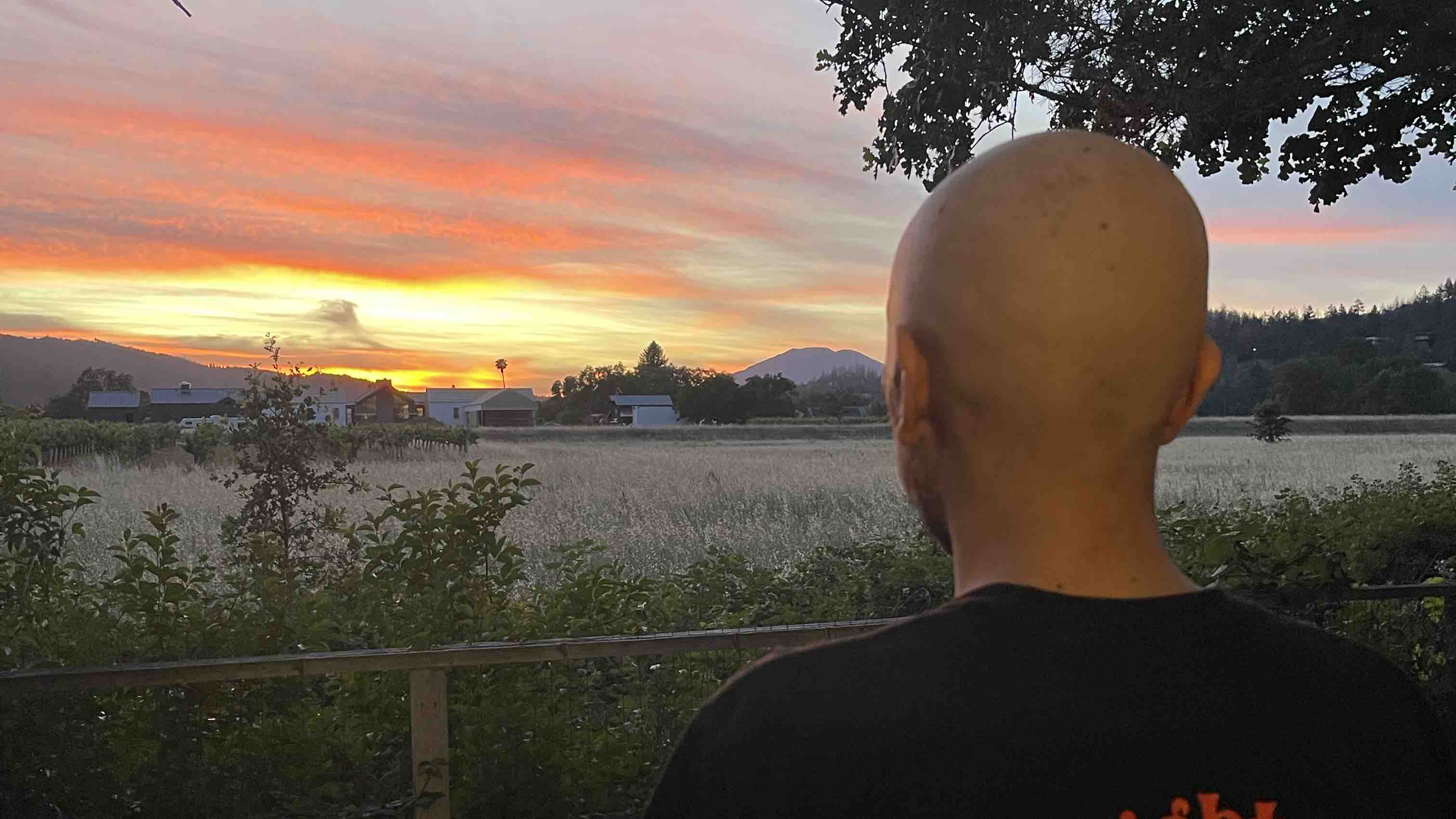 Fundraiser by Selene Robledo : Help Julian Recover