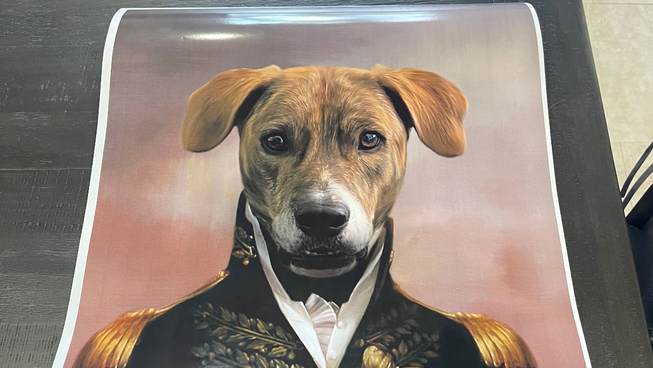 Fundraiser by FRANK PACIFICO : Porter's Upcoming Leg Amputation