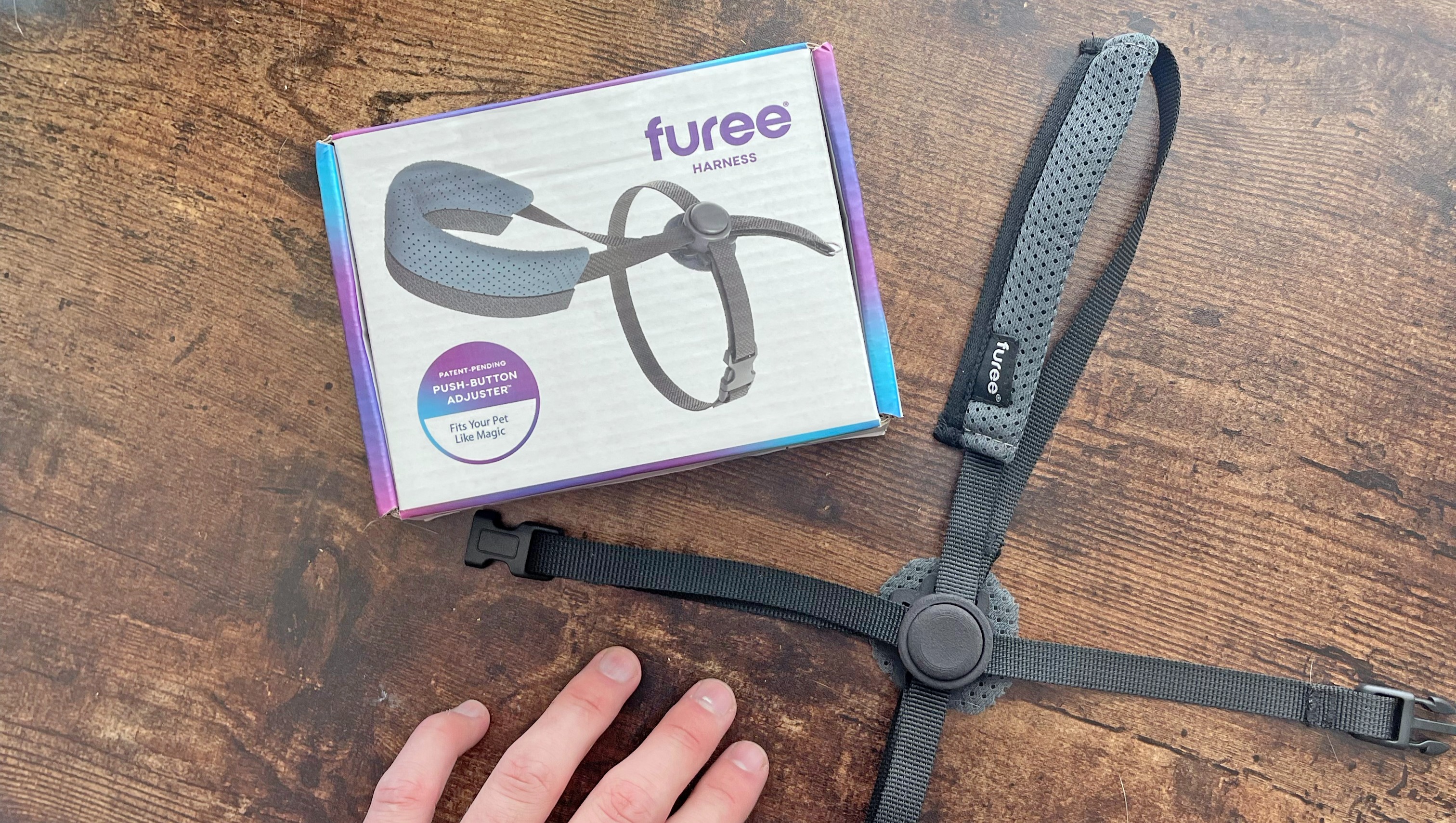 Fundraiser by Steven Squire : Help Cat Mando Produce Their Harness