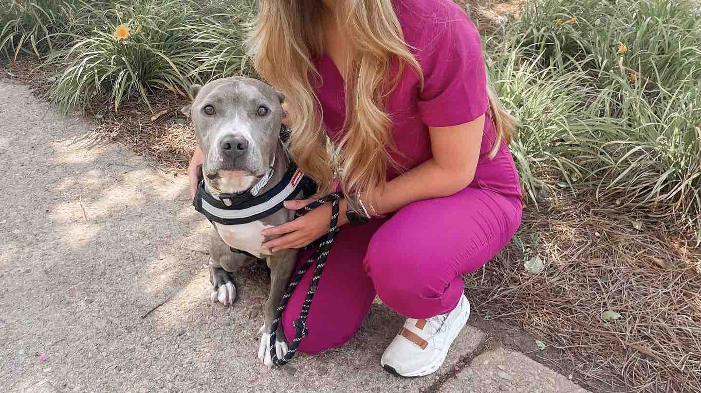 Fundraiser by Alexandra Rae Kellum : Let's Get Drizzy a Leg!