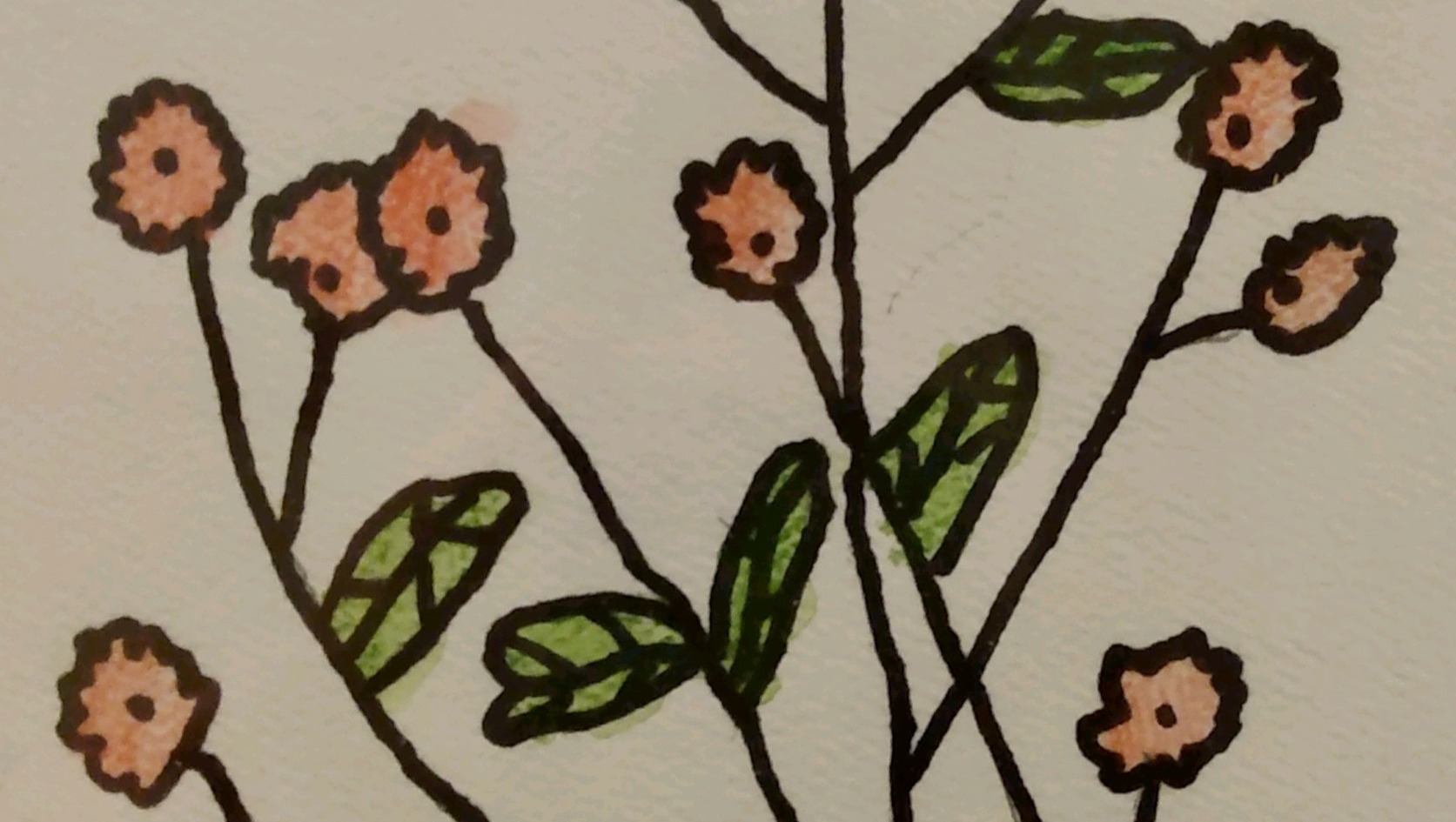 Fundraiser for Amy Scheffler by Alexandra Laughlin : Support Aria’s ...