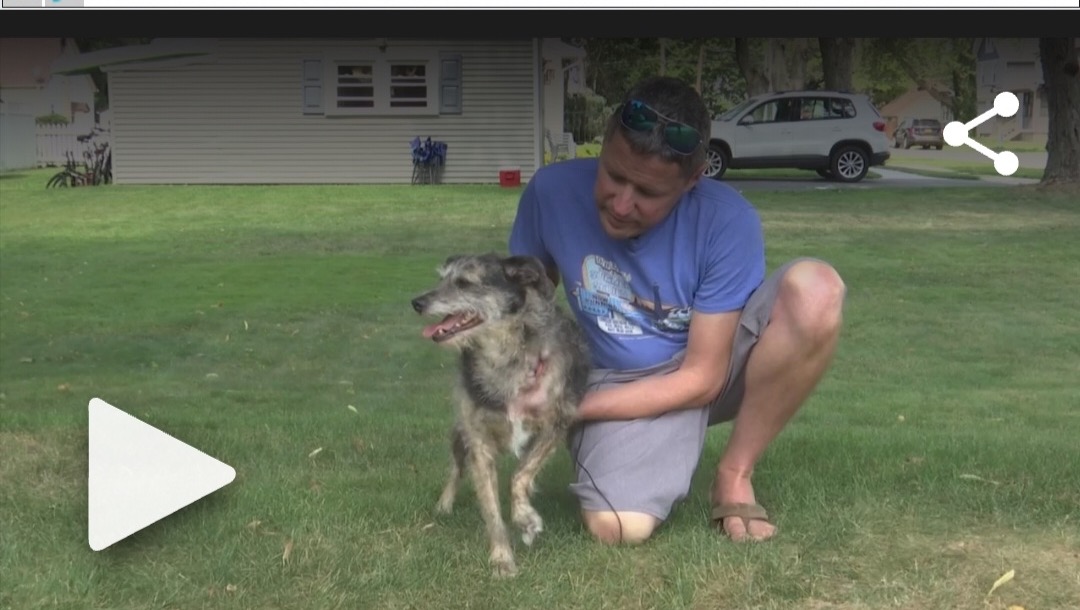 Fundraiser for Keith Linkner by Ginger Pagano : Nyxxi Veterinary costs