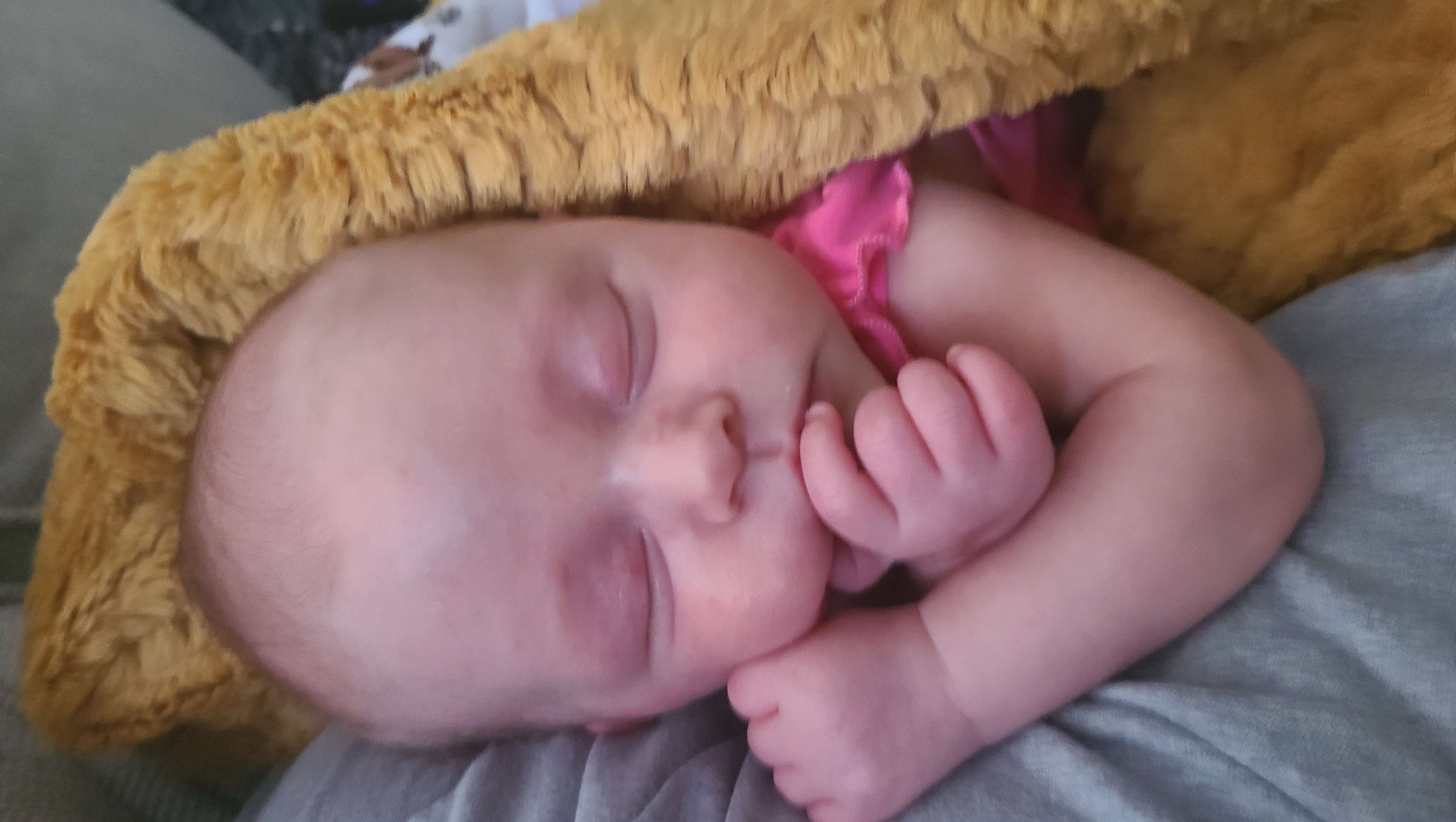 Fundraiser for Drew Ivey by Drew Ivey : Help Us Raise Money For River's ...