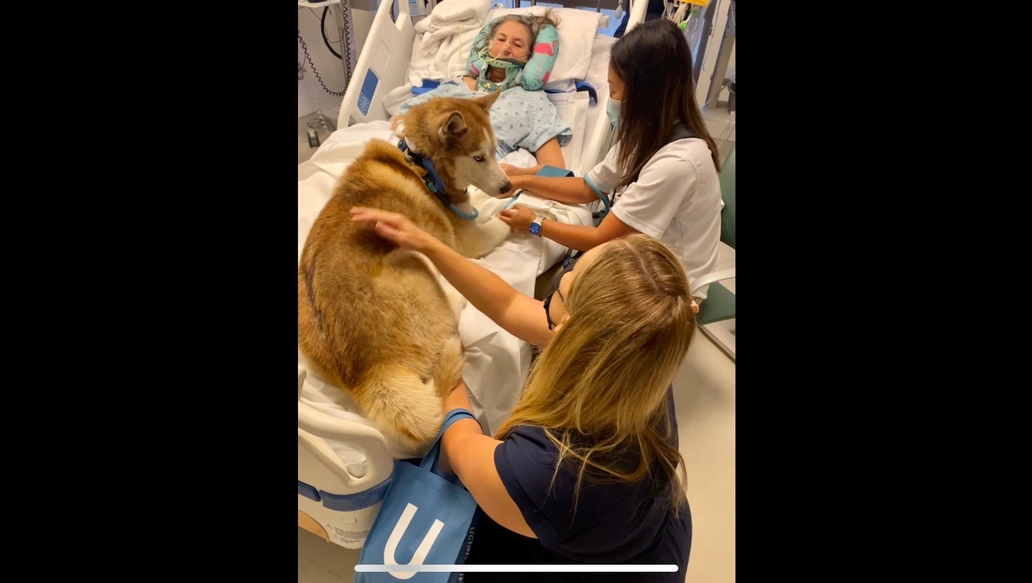 Fundraiser for Catherine Lugo by Rita Lugo : Cathy Lugo’s Medical Journey