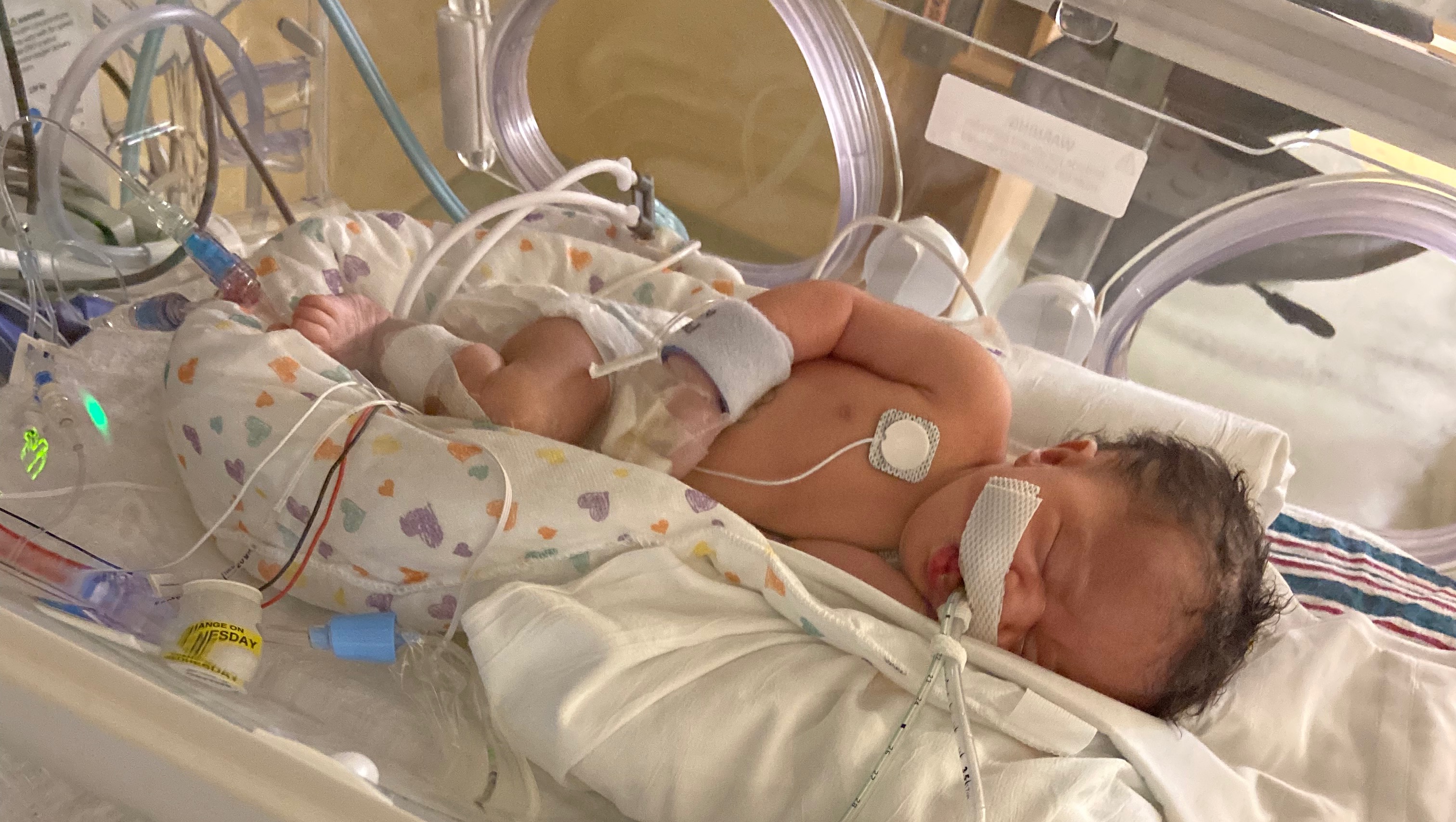 Fundraiser by Samonte Lewis : Ka’laiah Sky Lewis Homegoing