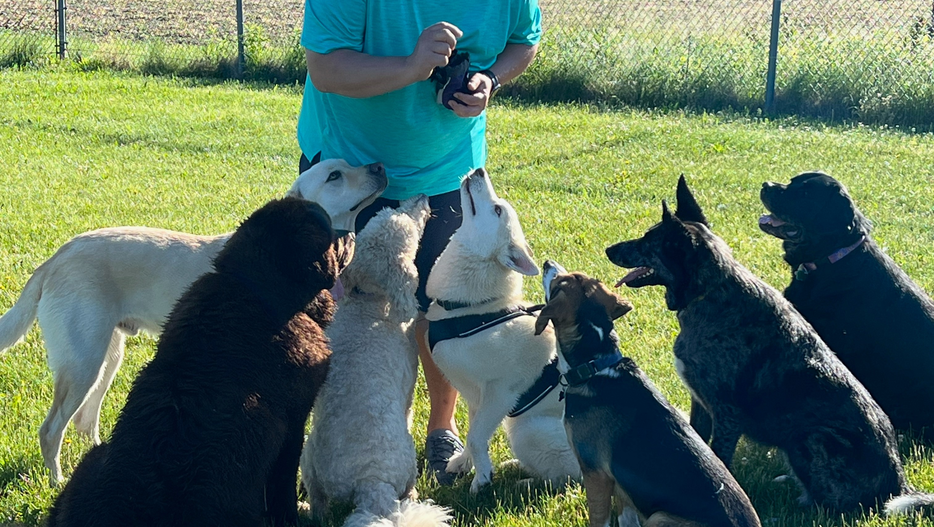 Fundraiser by Matt Pollak : Improve the Chelsea Dog Park