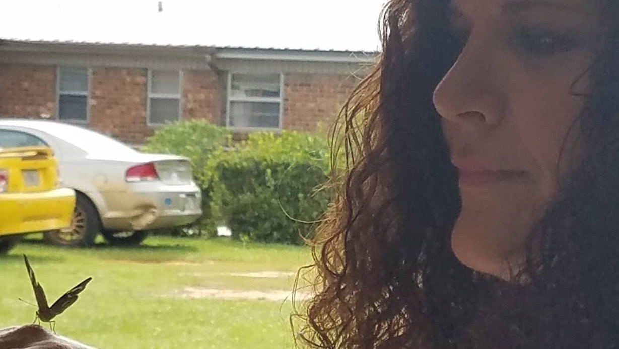 Fundraiser by Alexander Musgrave : Dawn Marie Schaefer