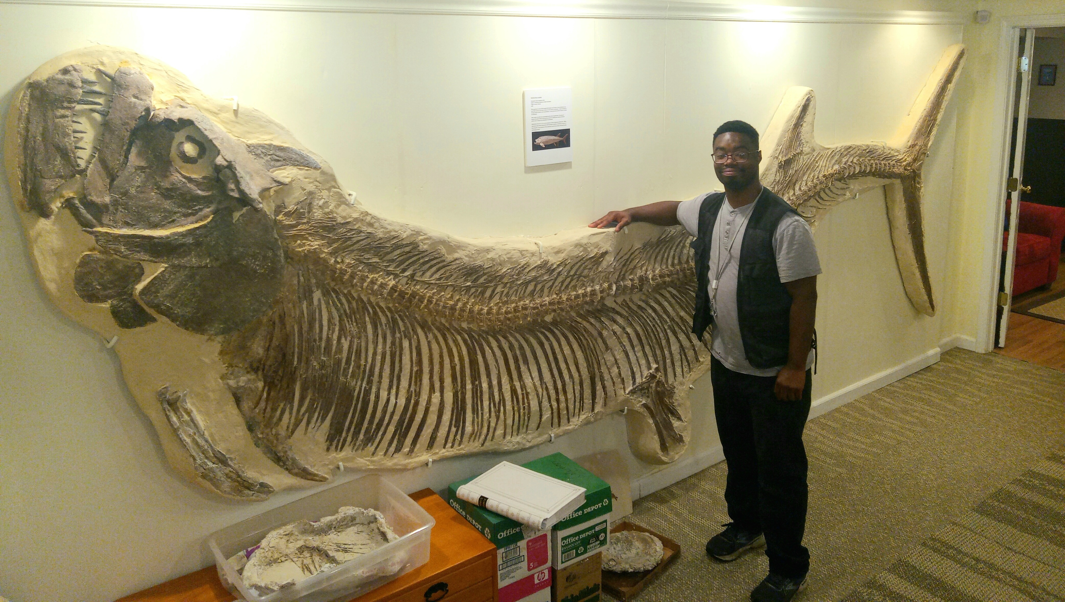 Fundraiser by Cameron Muskelly : Cam and the world's biggest Fossil Show