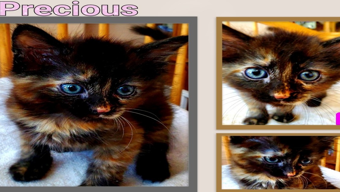 Fundraiser for Sharon Chism by Chanda Wilson : Life-Saving Surgery for ...