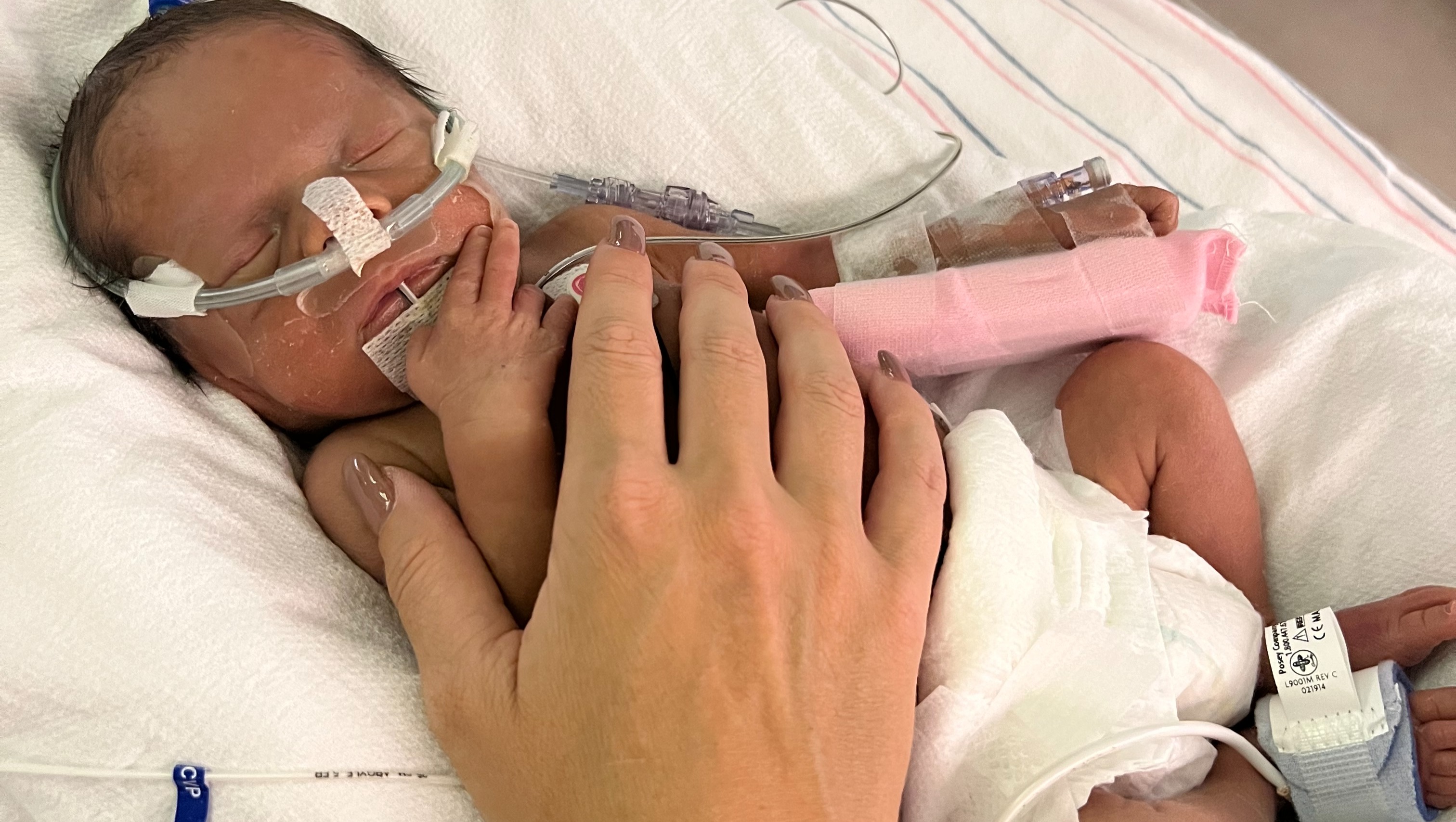 Fundraiser for Kayleigh Carlin by Kalen Kirwan : Give Riley a solid ...