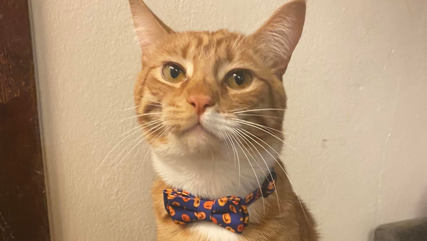 Fundraiser by Toby Reynolds : Mr. Simon Right Femur Bone Surgery