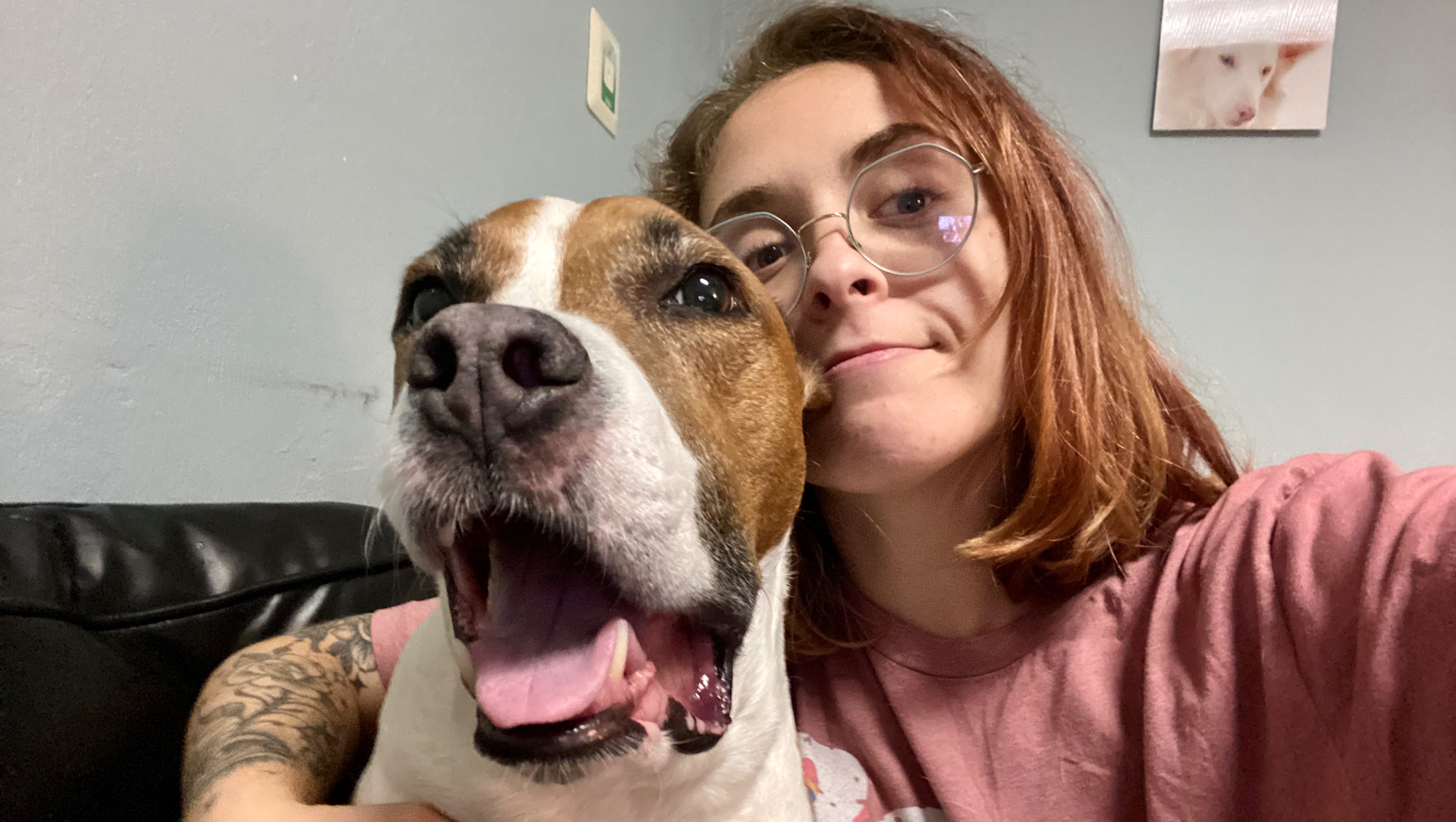 Fundraiser by Tabitha Rose Cervantes : SOS Emergency Vet Bills for ...