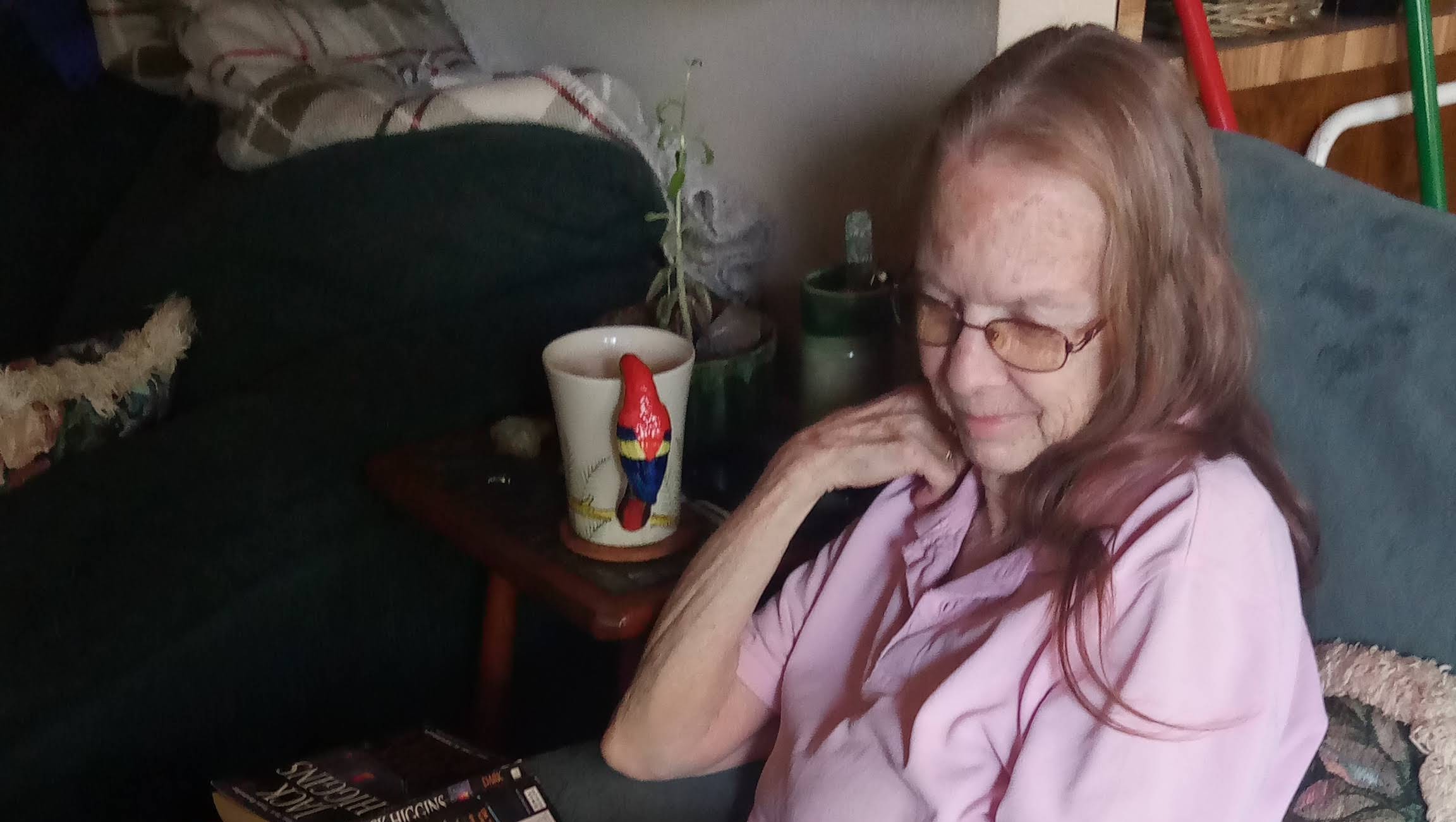 Fundraiser by Phyllis Brownbridge-Somers : Help me, keep having a home