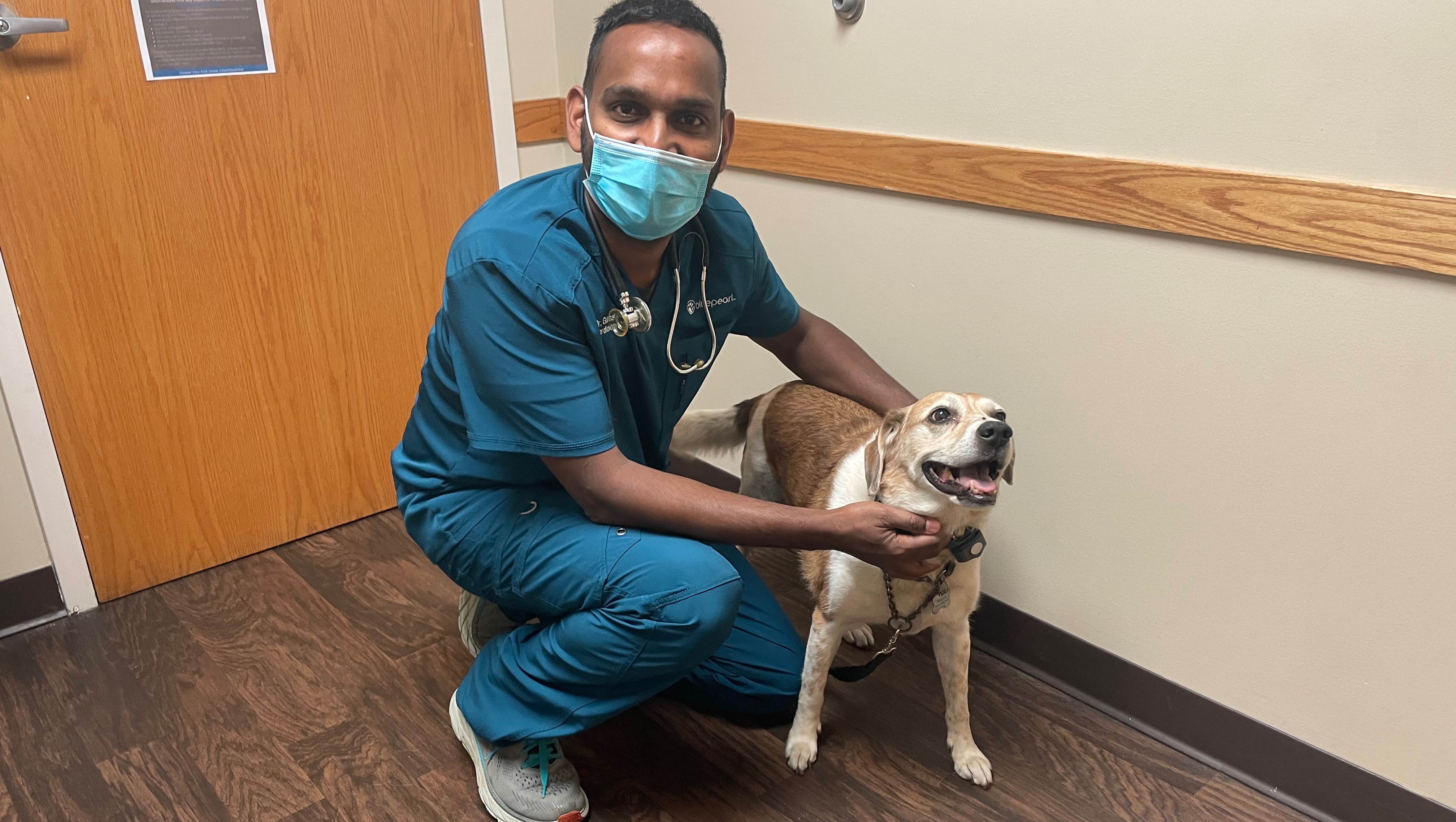 Fundraiser by Mary Hess : Ms. Bella needs surgery