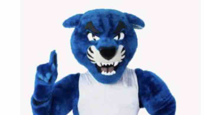 Fundraiser by Amanda Cruz : Purchase a Gananda Blue Panthers Mascot Costume