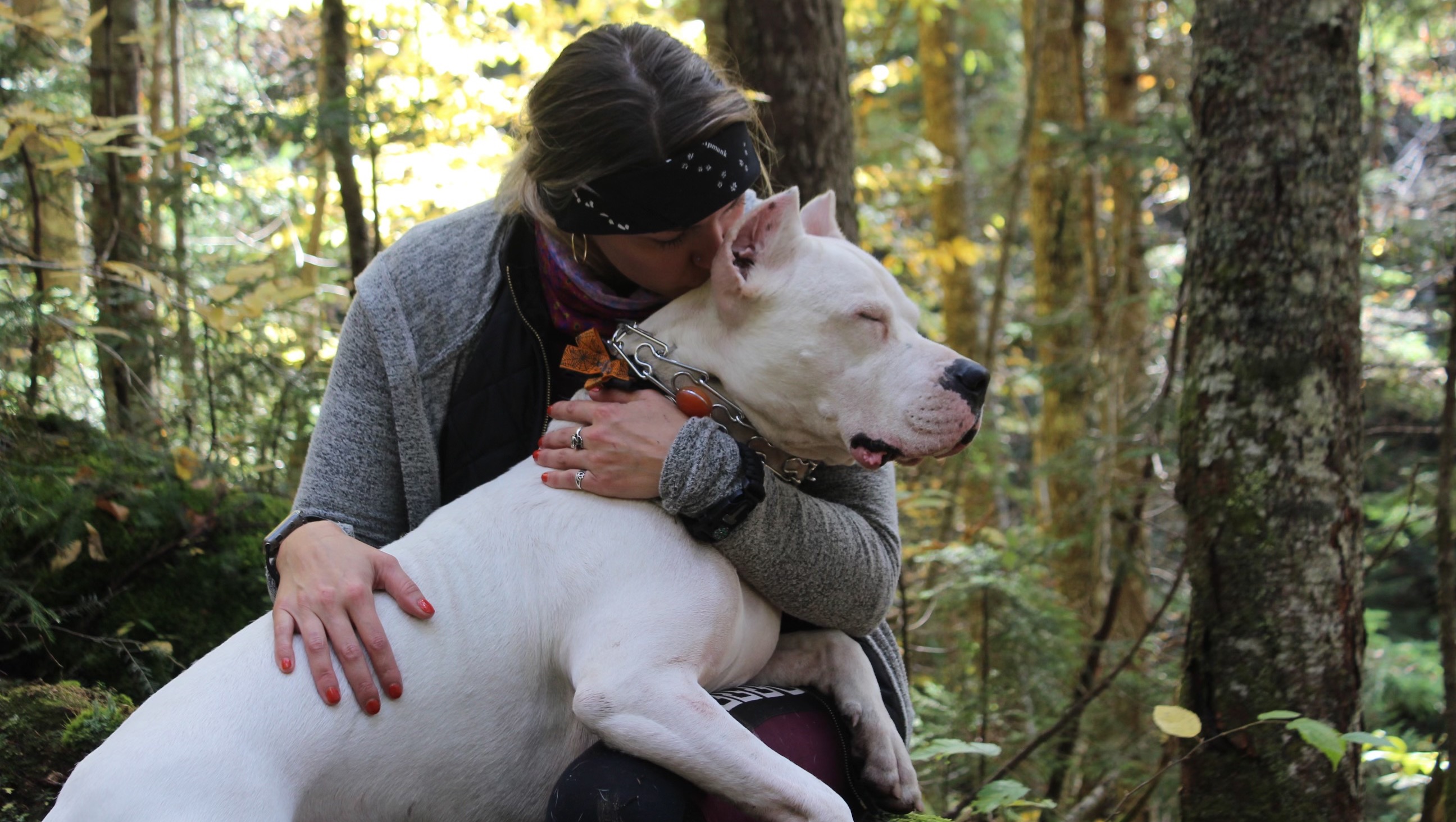 Fundraiser for Rosemary Murray by Rachel Murray : Recovery for Cato