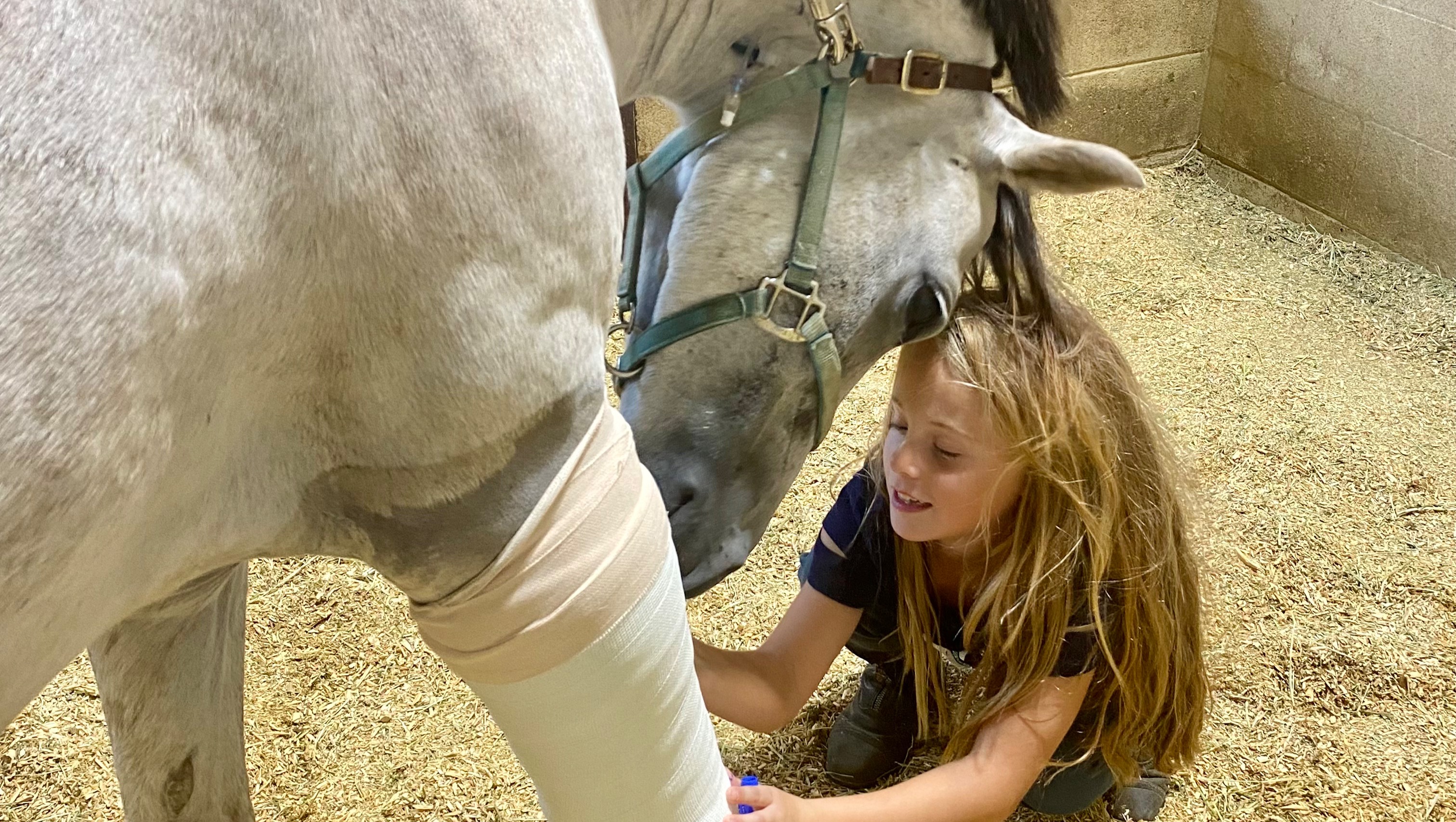 Fundraiser for Julie Tullos by Noelle Schilling : Help Raise Funds for ...