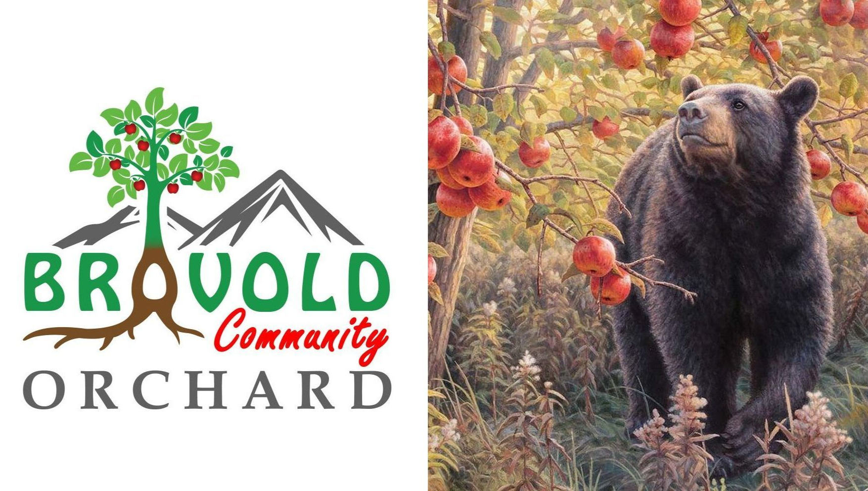 Fundraiser by Bob Summerfield : Fence Brovold Orchard to Help Bears ...