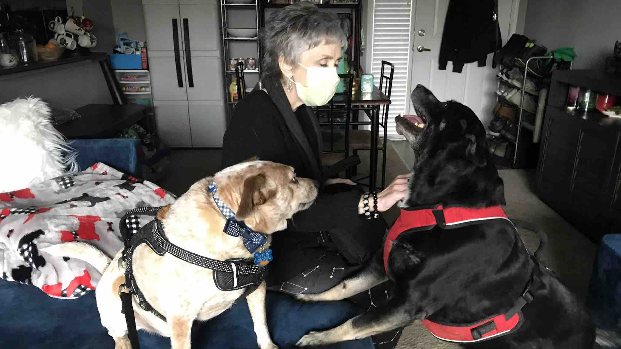 Fundraiser by Gina Bannister : In Loving Memory of Michele Rees