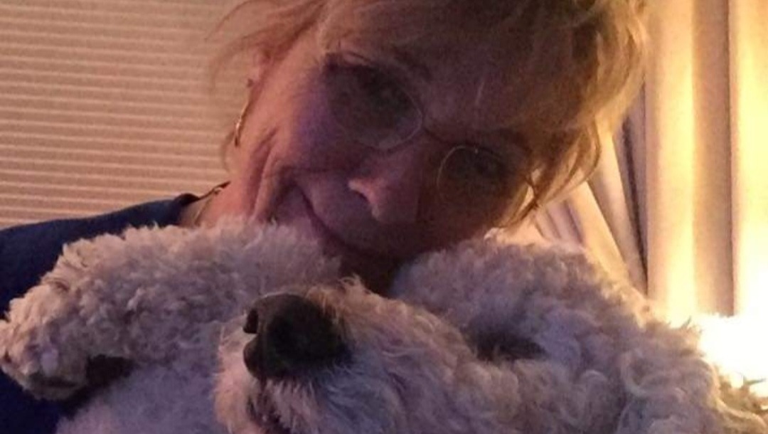 Fundraiser for Micah Alderson-Twardy by Lisa Loring- Shannon ...