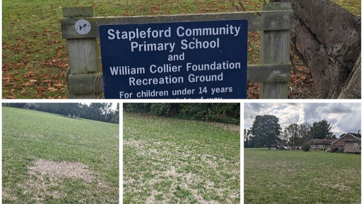 Fundraiser for Douglas White by Sean Crossan : SASS Sport for All