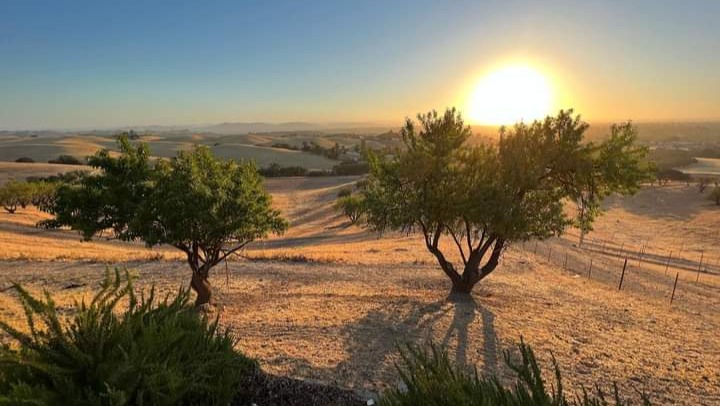 Fundraiser by Leah Booker : Kevin's Healthy Smile