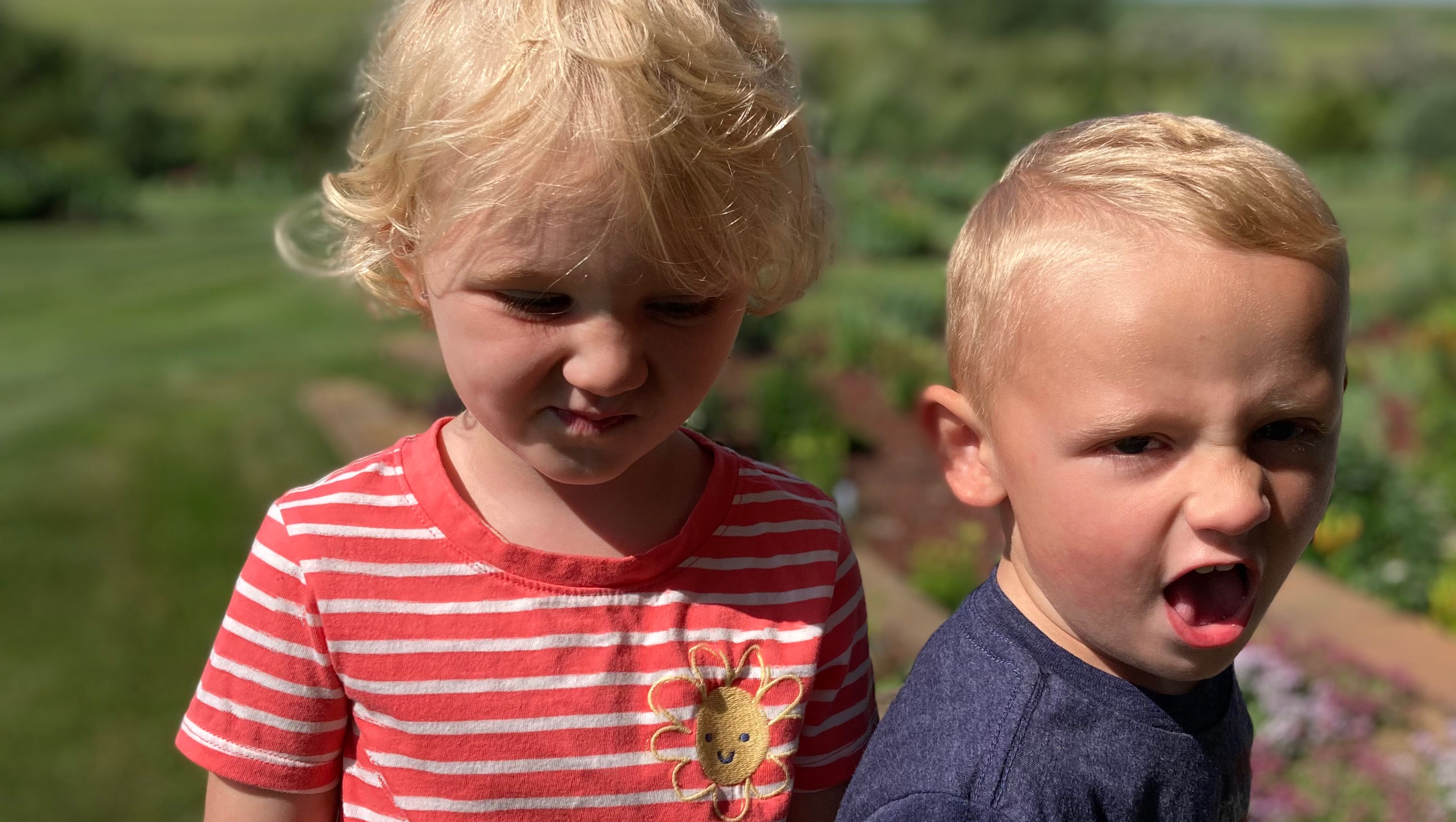 Fundraiser by Niki Maulding : Lawyer retainers -will pay it back or pay ...