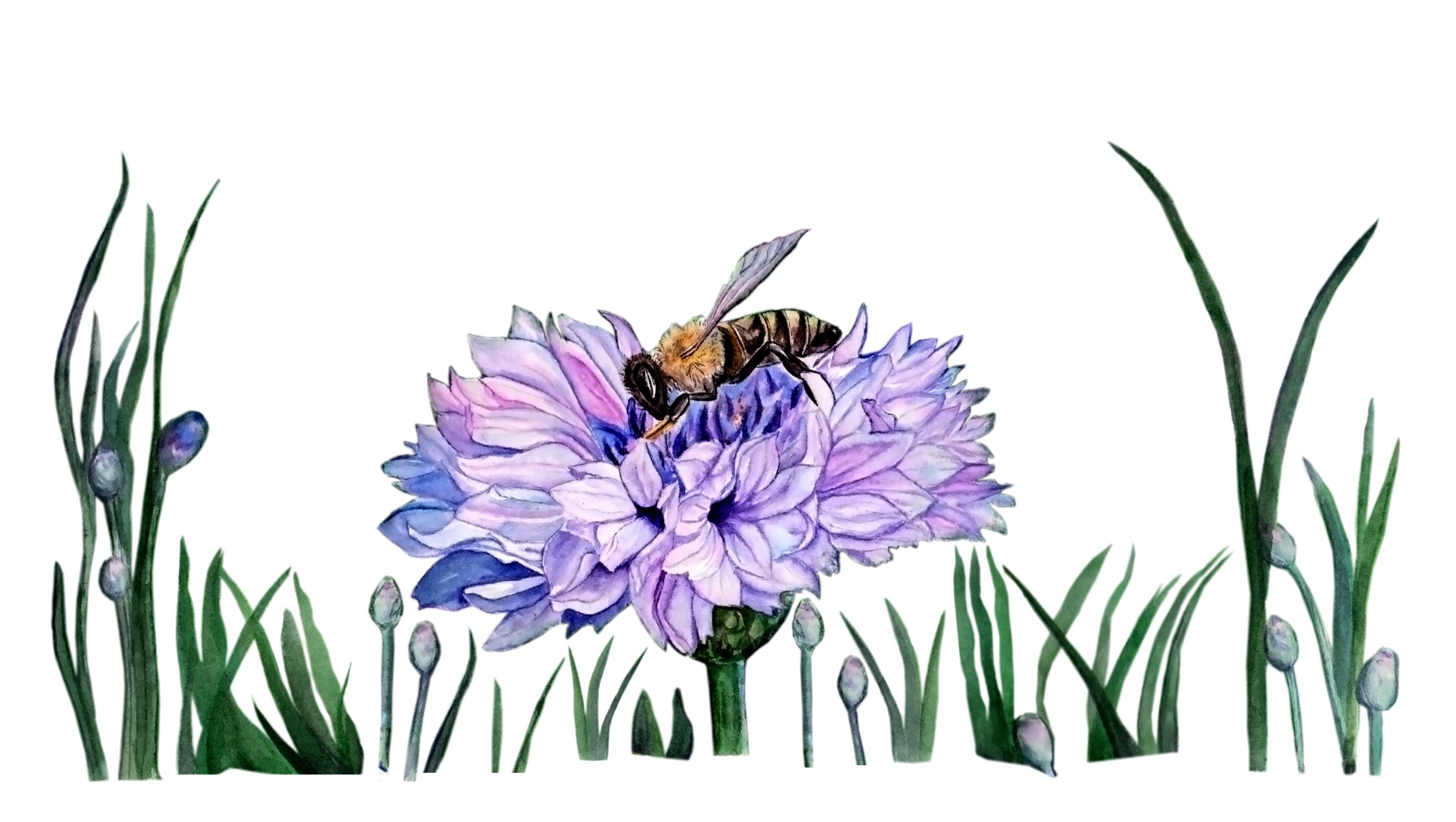 Fundraiser for Lauren Ramirez by Joyce Zoldak : The Izzy Bee Fund