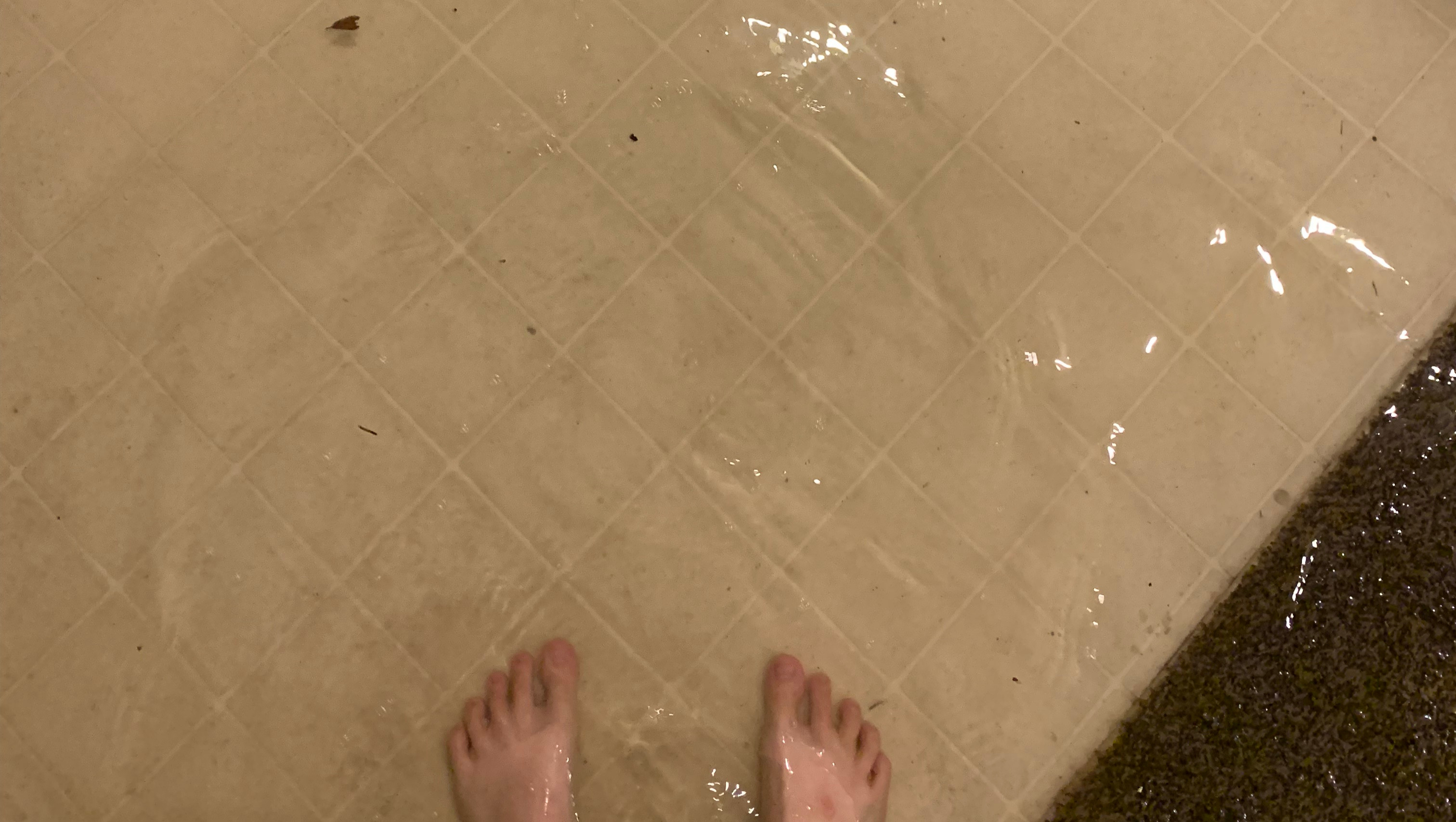 Fundraiser by Robert Fleenor : Help the Hardins!