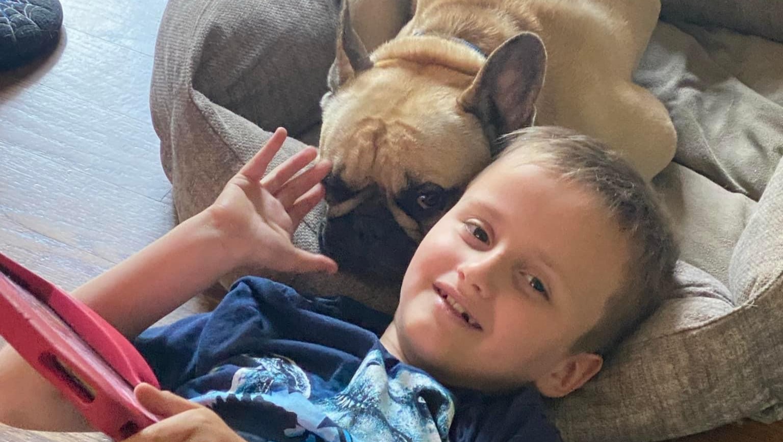 Fundraiser by Maddison French : Help Mason Get a New Dog!