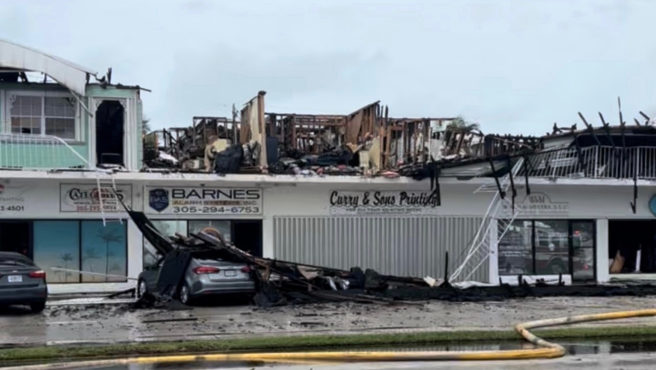 Campagne de sociofinancement organisée par Destiny Rivas : Megan & Maverick