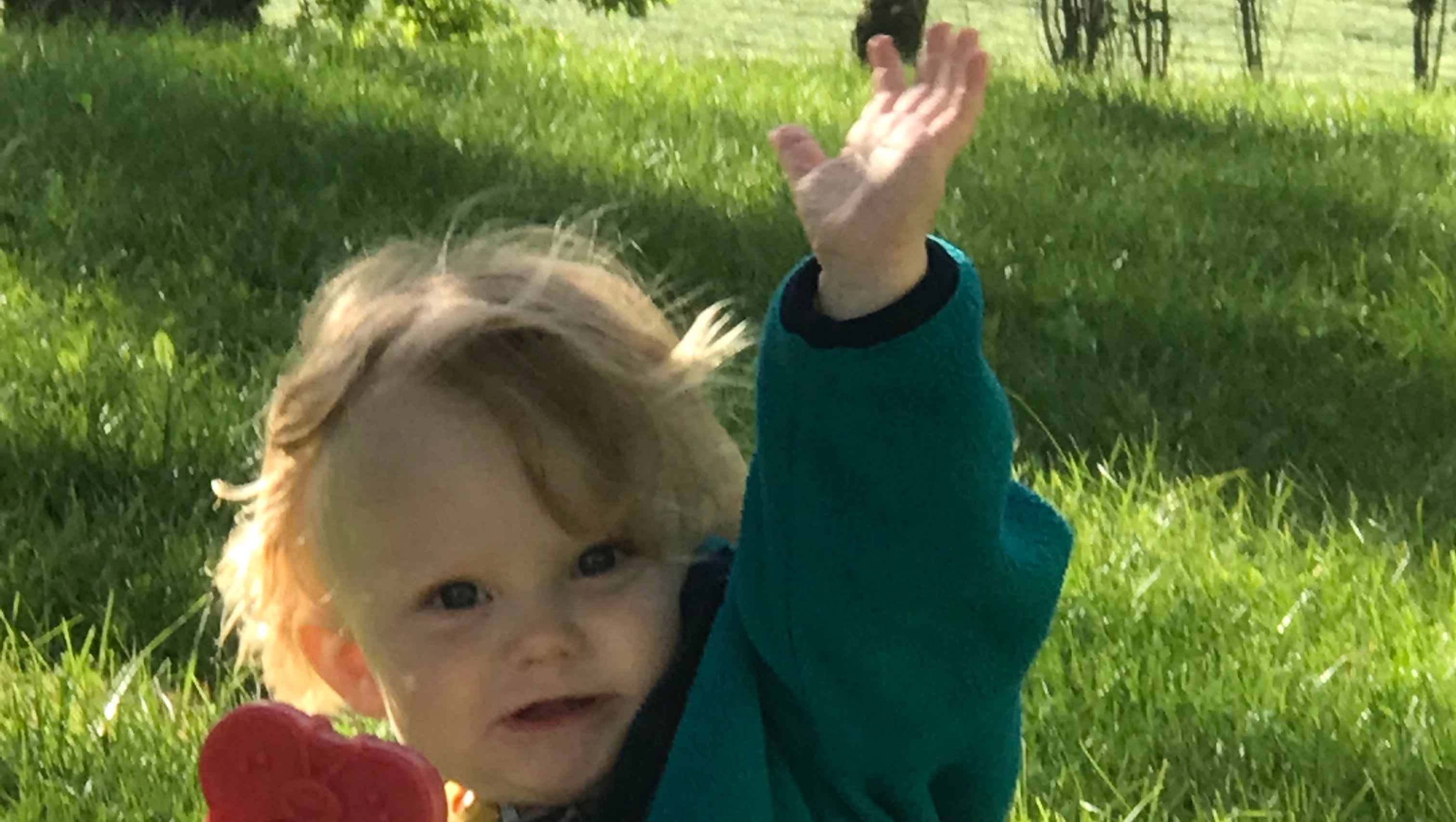 Fundraiser by Cole Fritsch : Lead abatement