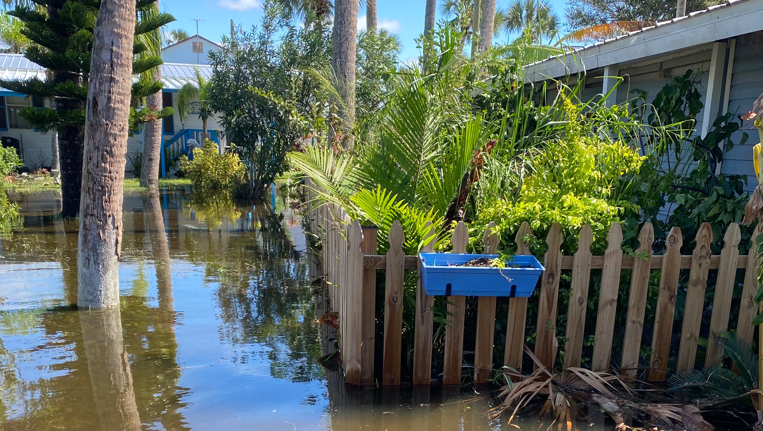 Fundraiser by Lauren Kenyon-Ray : Shelby & Julia, Hurricane Ian Relief