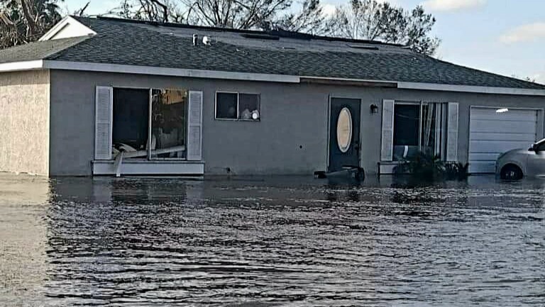 Fundraiser for Amy Parraguez by Kristen Meriño : Donate to help the ...