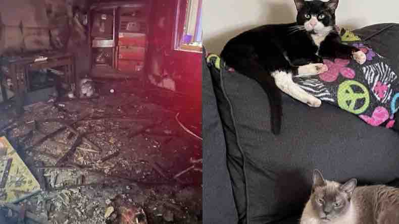 Fundraiser by Steven Simonelli : Help needed for my sister Cathy after ...