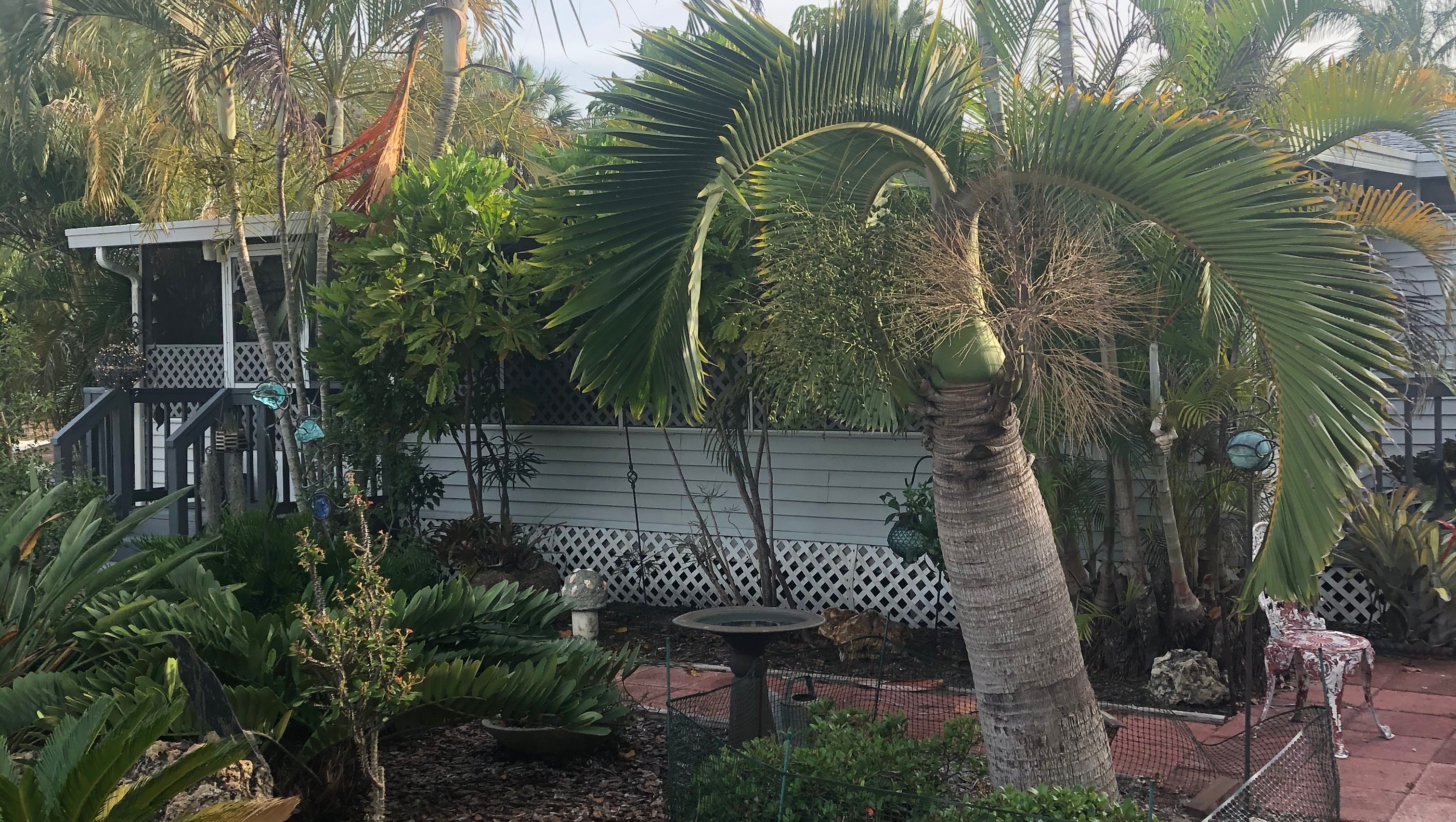 Fundraiser by Jarrod Olbres : Restart a new life after hurricane Ian