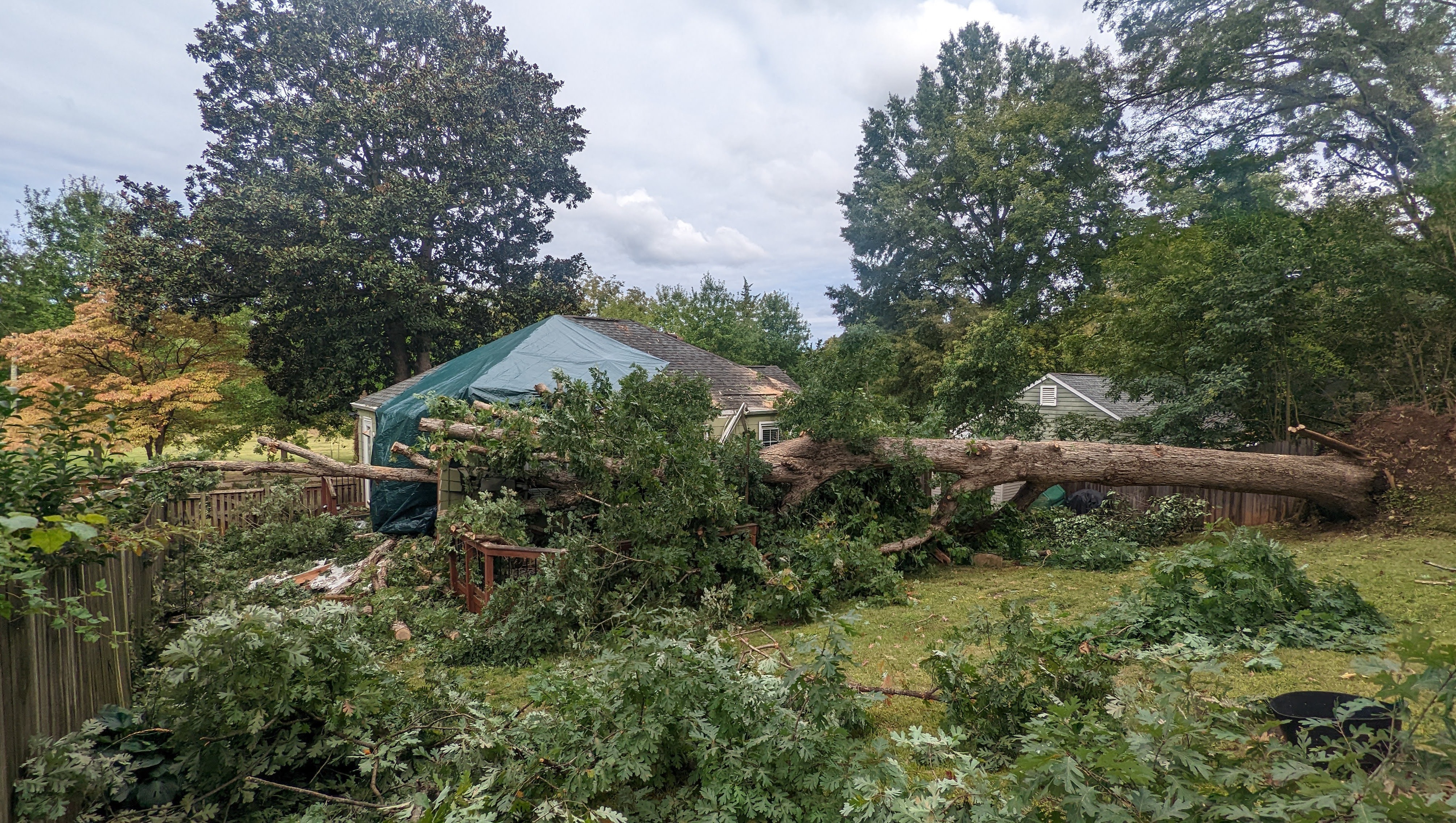 Fundraiser for Taylor Florio by Sarah Desmond : Hurricane Ian Relief ...