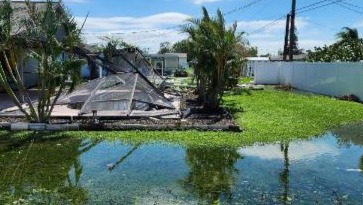 Fundraiser for Ken Roth by Michelle Iturralde : Ken Rothwell Needs Our Help