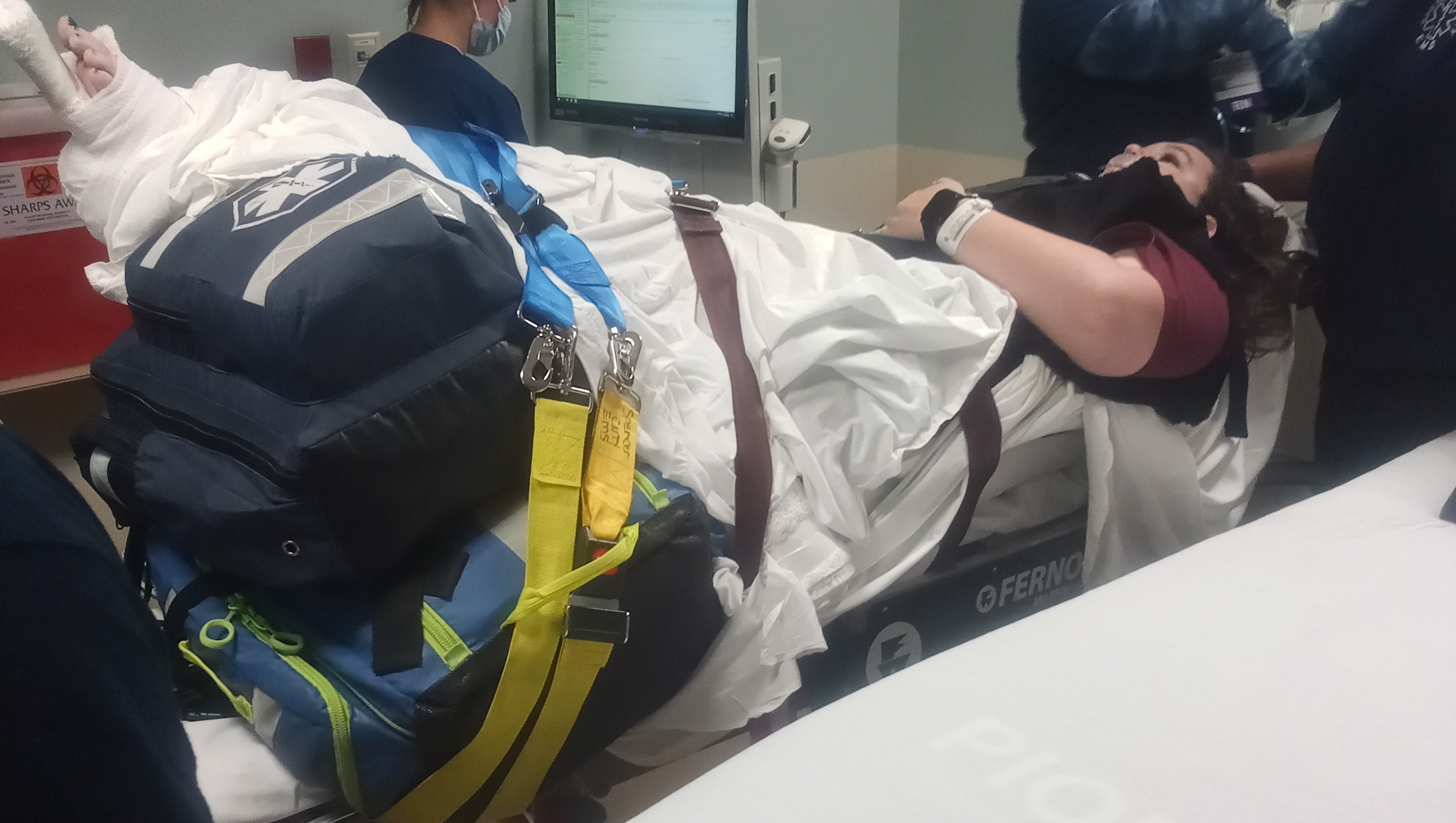 Fundraiser for Chastity Richardson by Ellen Goldman : Any little bit ...