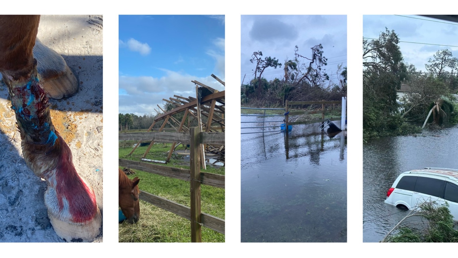 Fundraiser for William Stapleton by Erika Burke : Hurricane Relief for ...