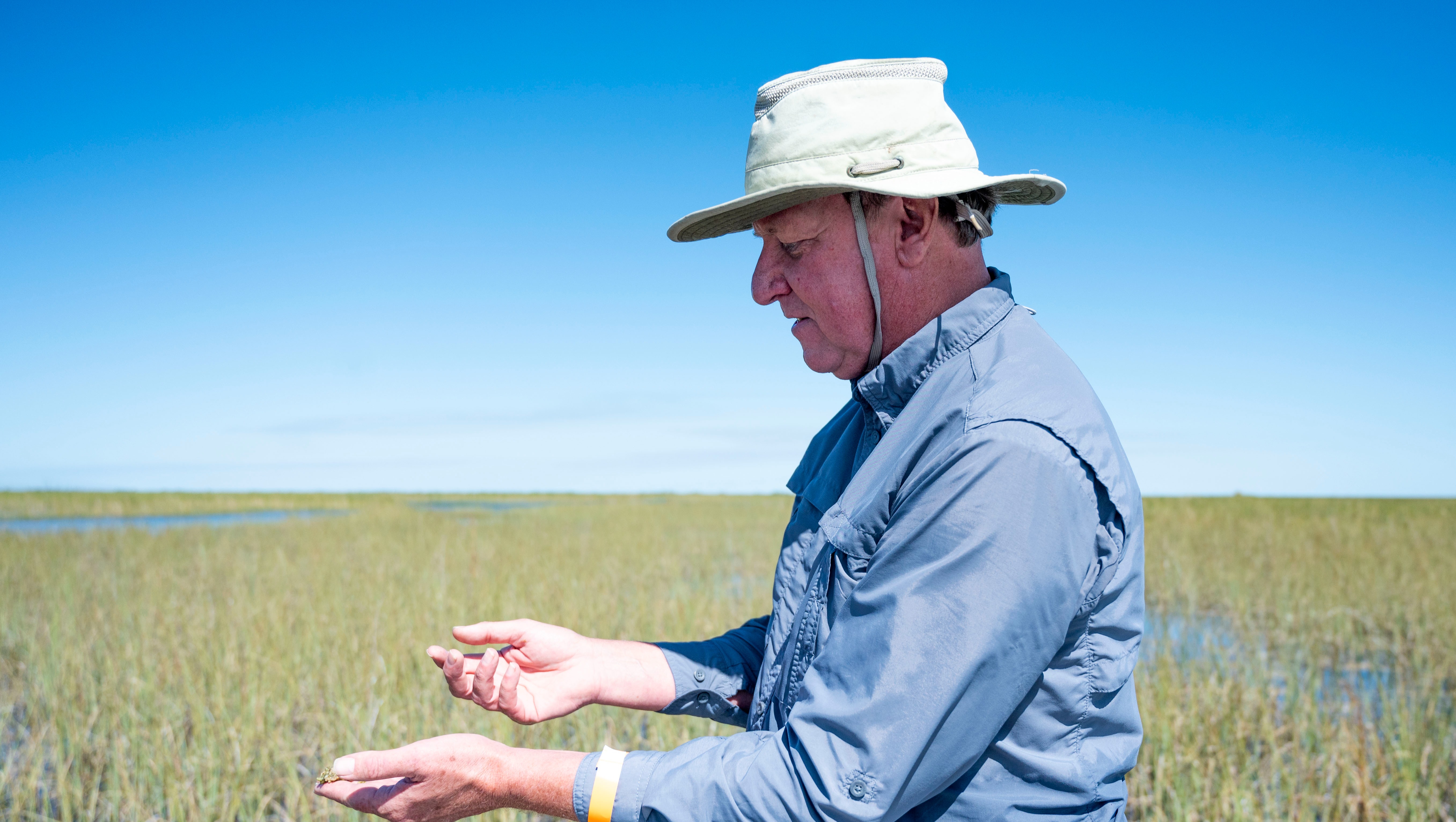 Fundraiser for Michael Rayboun by Thomas Van Lent : Tom Van Lent's ...