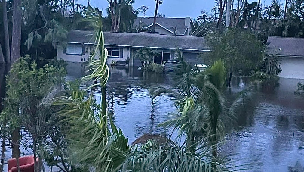 Fundraiser for Caroline Howe by Jamie Howe : Zanolli Family Hurricane ...