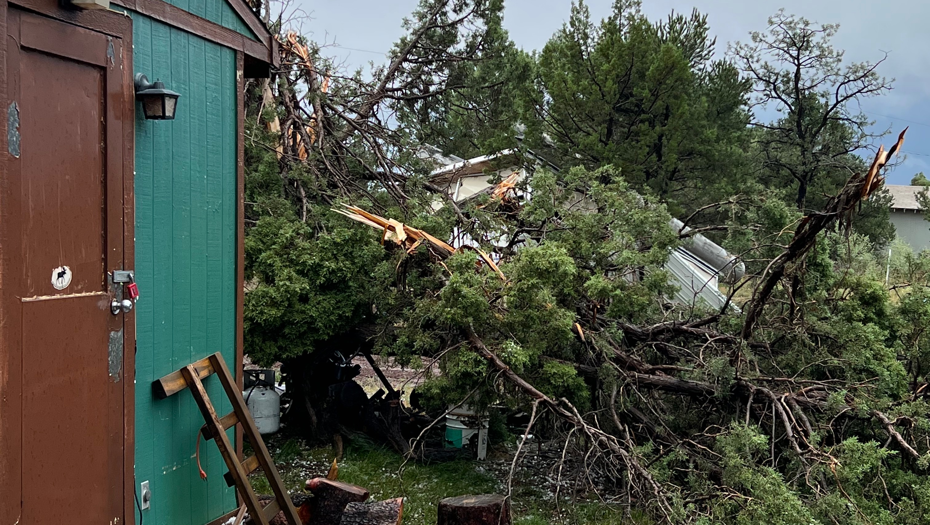 Fundraiser for William Jones by Chelsey Judge : Bill and Kathy tornado ...