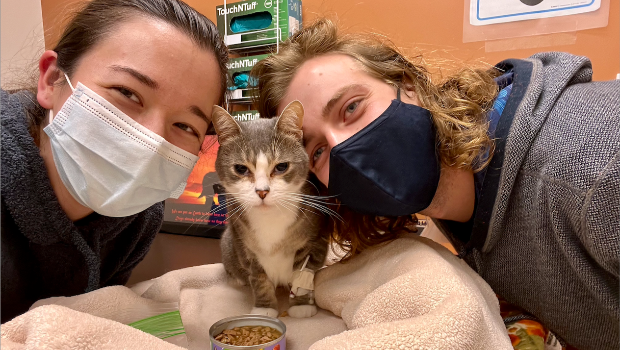 Fundraiser by Graham Northrup : Roger's hospital costs