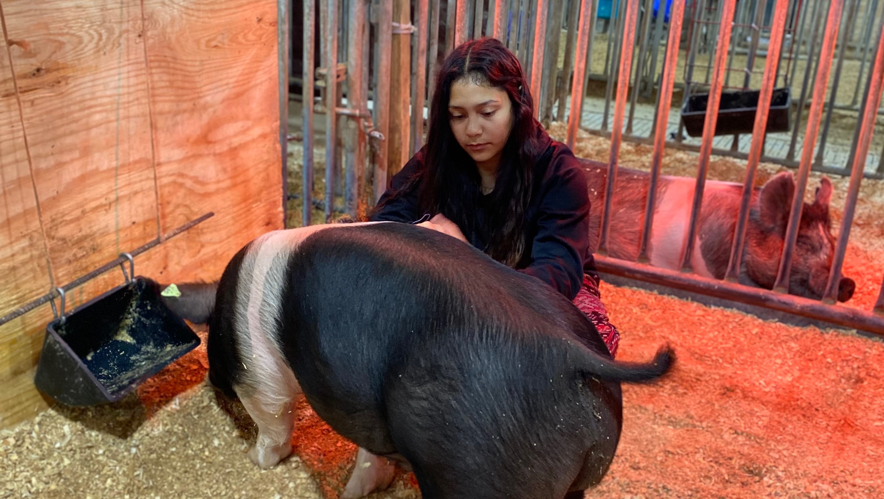 Fundraiser for Joseph Ausmus by Nina Tristan : Nina raising animals on ffa