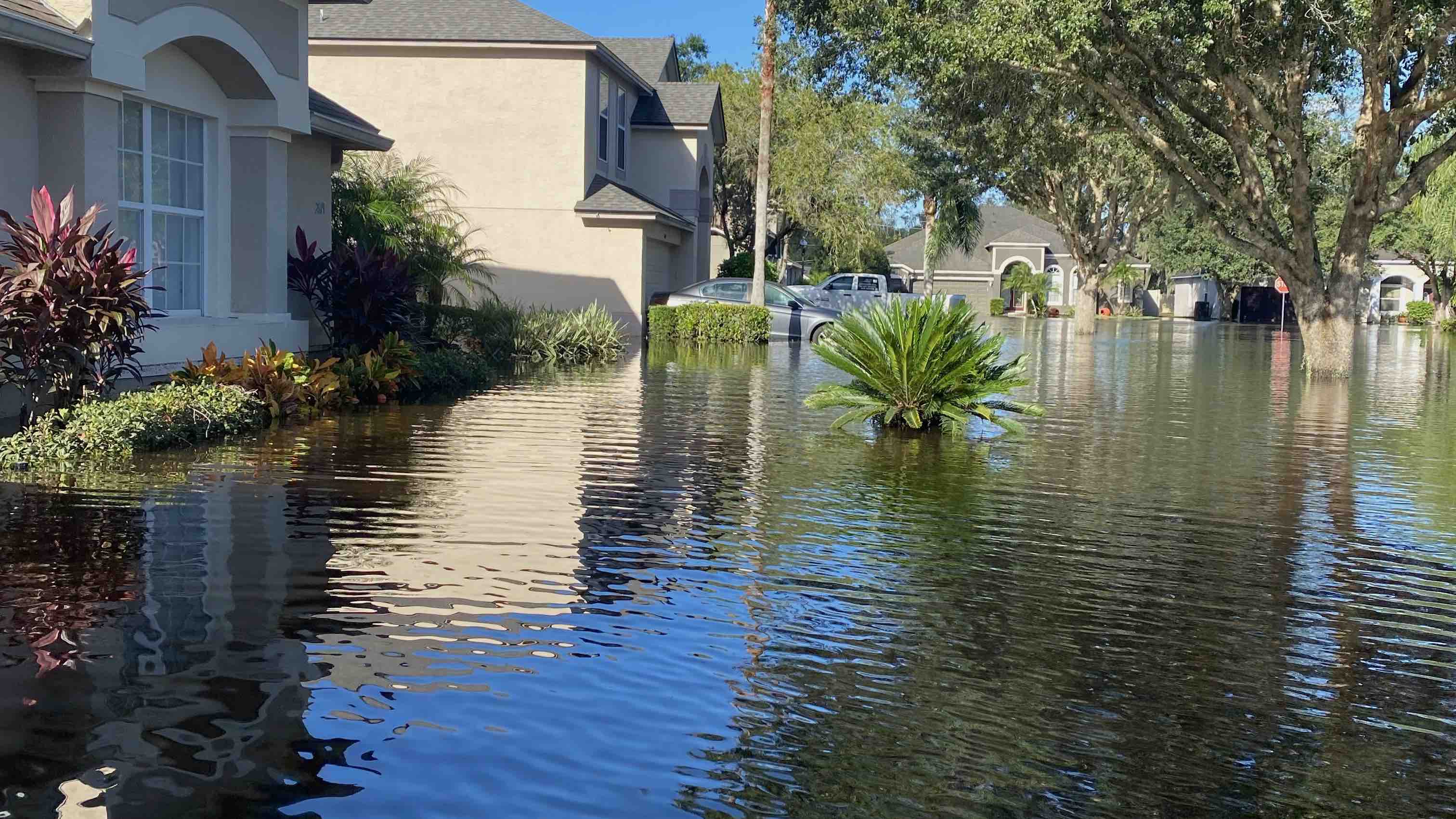 Fundraiser for Kayla Bundle by Gerry Bundle : Hurricane Ian Recovery ...