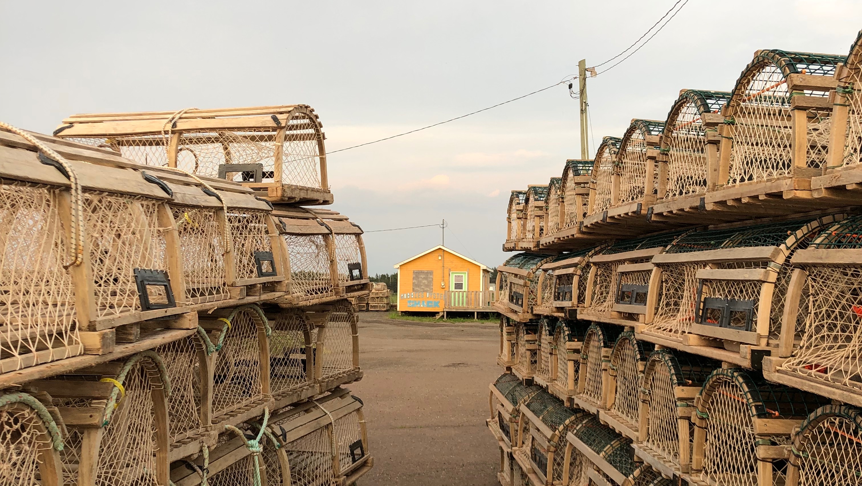 Fundraiser by Alissa Sylvester : Help return Oyster Shack after ...