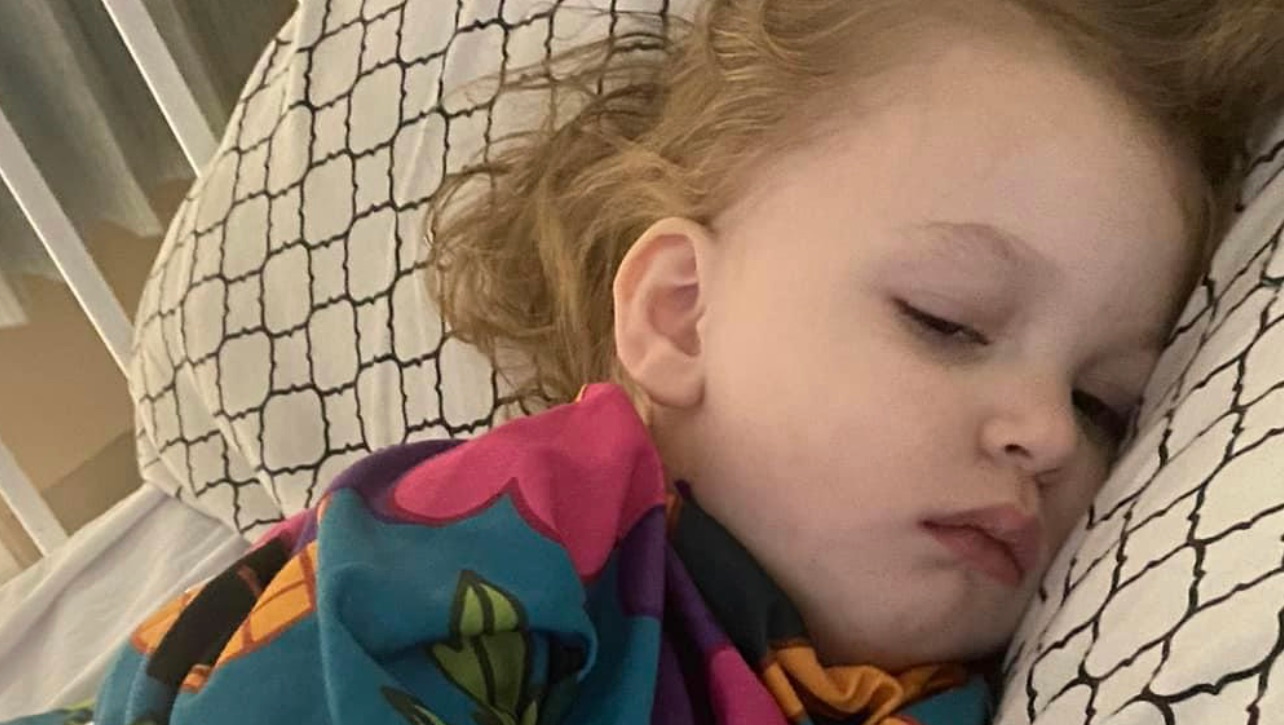 Fundraiser by Lisa Freitas : Please help our Addie Bear!