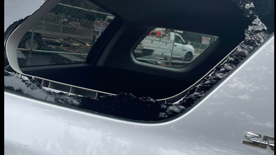 Fundraiser for Lisa Attardo by Erica Loucks : Lisa and Melissa